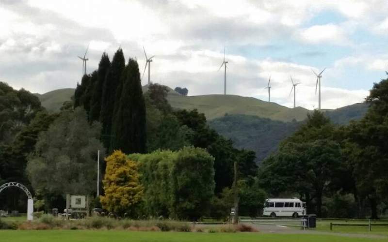 Ashhurst Domain Campground | Freedom/Basic Camp | New Zealand